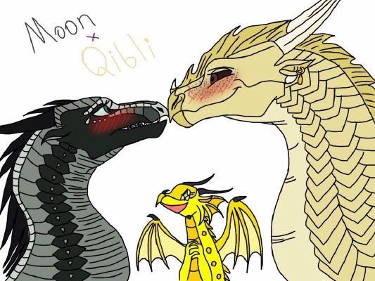 Wings of Fire - Ship it or Rip it - Quiz