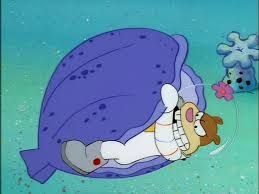 What would sandy cheeks think of you? - Quiz