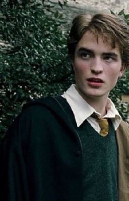 Harry Potter male characters poll: Top or bottom (15+) - Survey