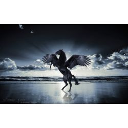 Which Tribe do you belong to? - Quiz