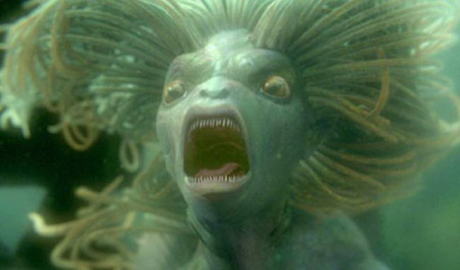 Chapter 18 (The Second Task) | The Veela/ Harry Potter Love Story ...