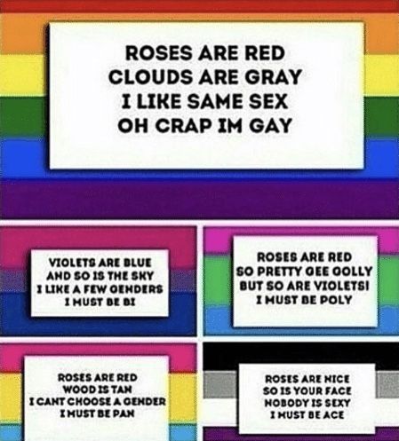 Do you understand these LGBTQ things? - Test