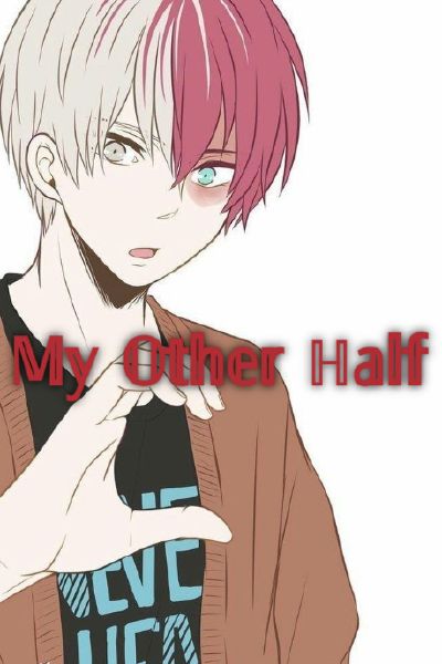 Shoto Todoroki X Reader