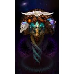 What is Your Spirit Animal - Quiz