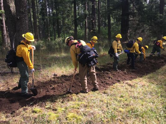 Will You Survive Operation Peach? Part 8: From Nedlay to Trost - Quiz