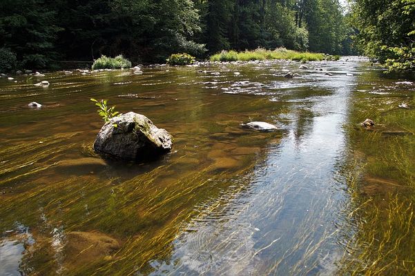 Will You Survive Operation Peach? Part 8: From Nedlay to Trost - Quiz