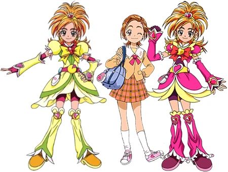 The Most Popular Precure Character! - Survey