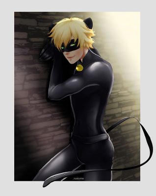 What Does Chat Noir Think of You? - Quiz