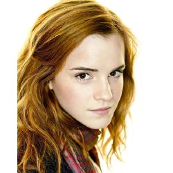 Harry Potter ships poll: Hermione Granger - Survey