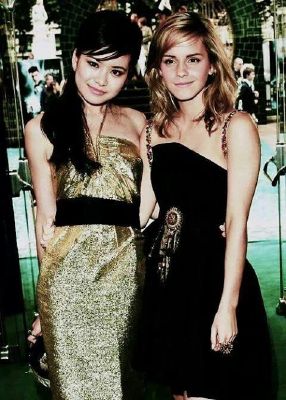 Harry Potter ships poll: Hermione Granger - Survey