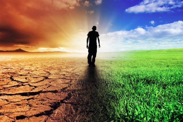 Environment Manipulation | Your BNHA Quirk + Quirk Analysis - Quiz