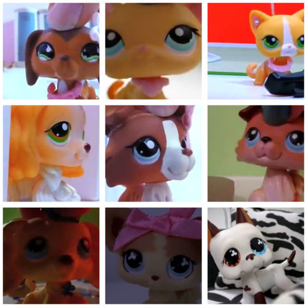 Which LPS: Popular Character Are You? - Quiz