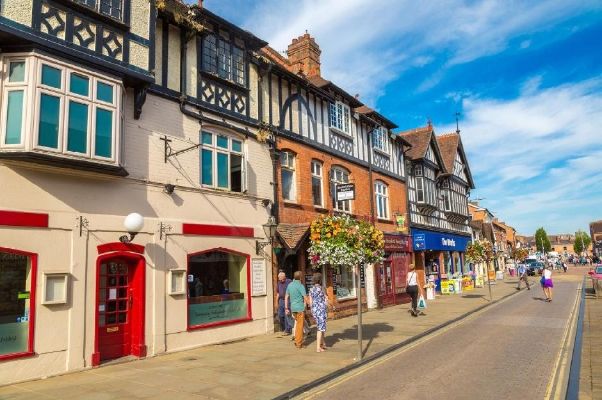 Can you guess the real one? - Test