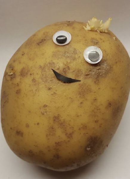 What potato are you? - Quiz