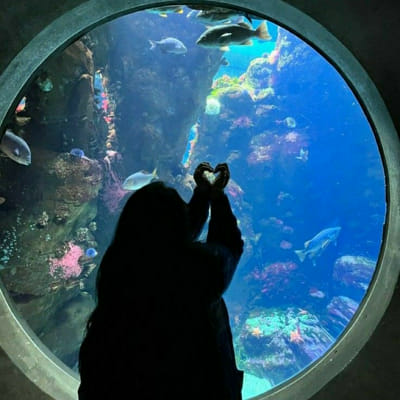 The Life of a KPop Idol : Fansign - Quiz | Quotev