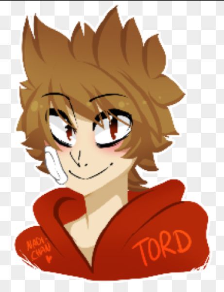 A date with Tord (Eddsworld) - Quiz | Quotev