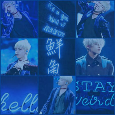 What's your Y/n aesthetic? - Quiz | Quotev