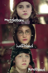 What's your Blood Status? - Quiz | Quotev