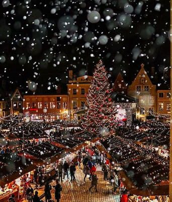 Pick some Christmas/Winter Images and get a Rise of the Teenage Mutant ...