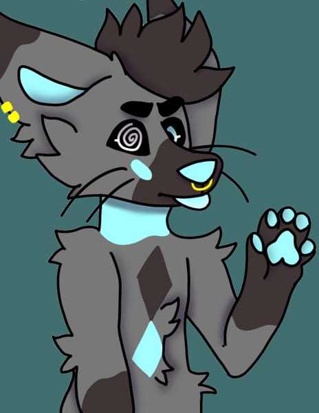 Whats does my fursona think about you? - Quiz | Quotev
