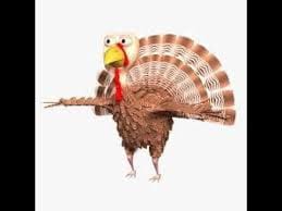 Are you secretly a turkey? - Quiz | Quotev