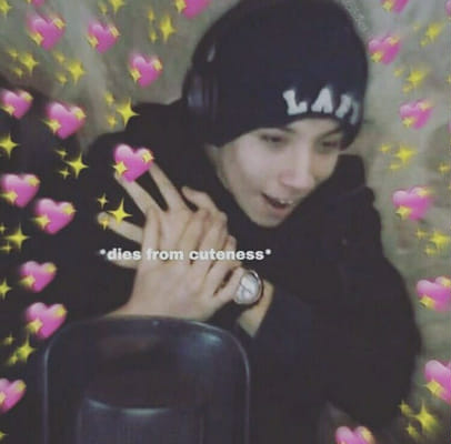 Quackity memes for Quackity simps - Quiz | Quotev