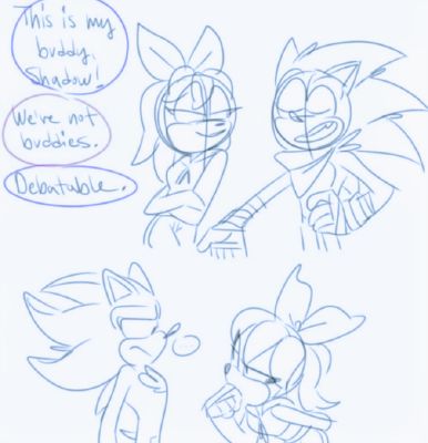 Sonic Boom Ship it or Rip it - Test