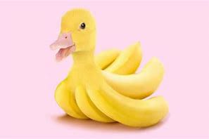 Cute or Not Cute? - Survey | Quotev