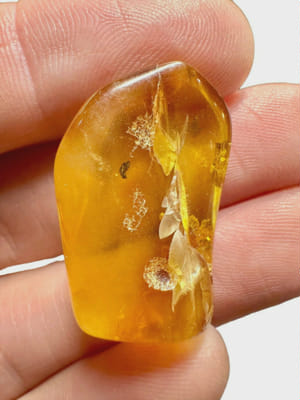 What is your Skandar element - Quiz | Quotev