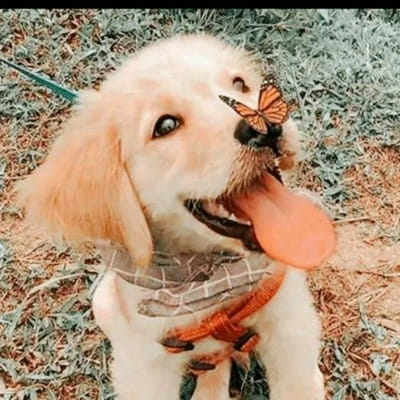 Pick some things and get an ATEEZ bestie - Quiz | Quotev