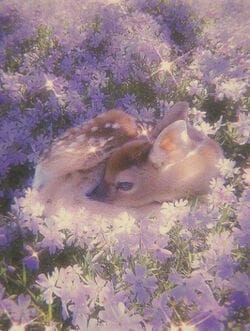 Pick some things and get an ATEEZ bestie - Quiz | Quotev