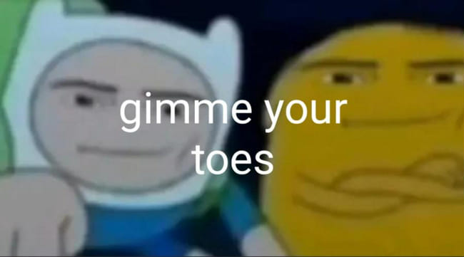 Choose some things get a cursed cat meme - Quiz | Quotev