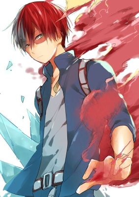 Who are you to Todoroki Shoto? - Quiz | Quotev