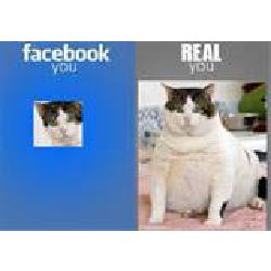 Are you Real? - Quiz | Quotev