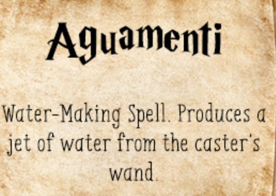 Harry Potter OWLs and NEWTs charms test - Test | Quotev