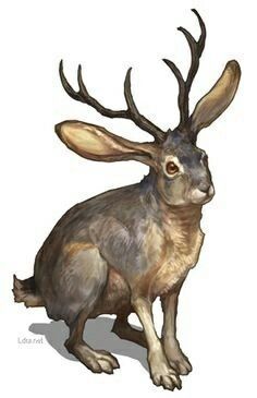 What Mythical Rabbit Are You? - Quiz | Quotev