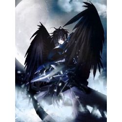 Dark Guardian Angel Anime