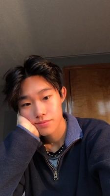 Andrew Rafael Kim | Who's your tik toker boyfriend? ||ASIAN BOYS ...