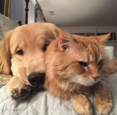 Does Jax have a crush on you? - Quiz | Quotev