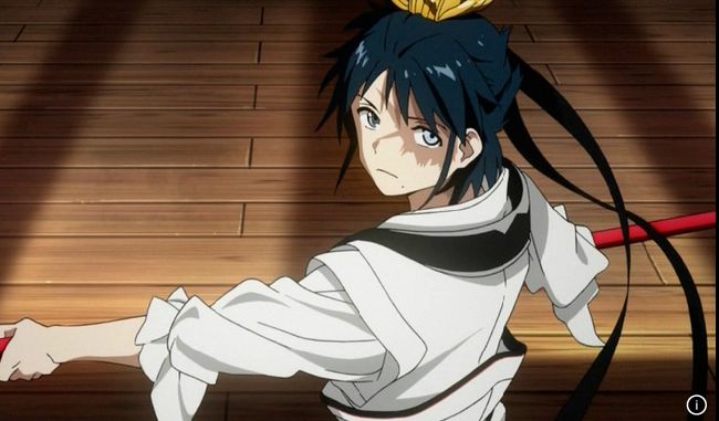 Magi: The Kingdom of Magic Who are you in the Alma Torran Resistence ...