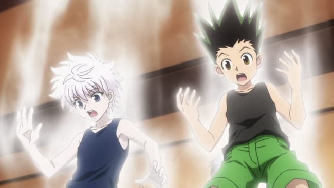 The Hunter X Hunter Test | How well do you know your Hunter X Hunter ...