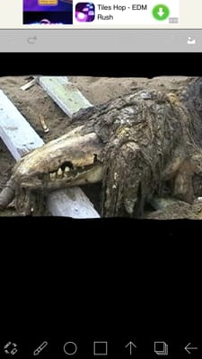 How many SCPs do you know? - Test | Quotev