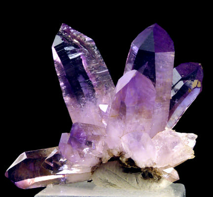 Which SJM Protagonist Are You? - Quiz | Quotev