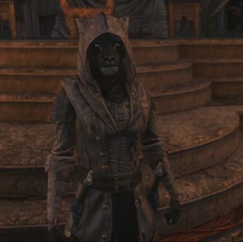 The Elder Scrolls quiz: Khajiit - Test | Quotev