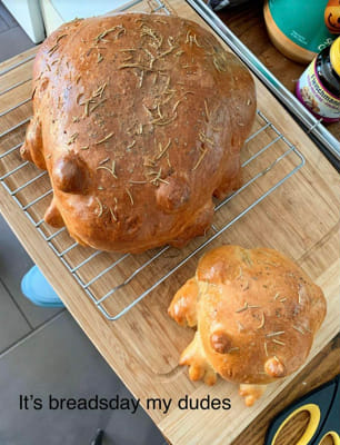 Visit the world of magical beings and creatures to meet your magical ...