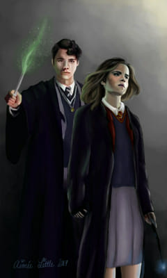 Shipper or Ripper ! Harry Potter Edition - Quiz | Quotev