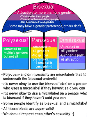 Which Bisexual Microlabel Are You? - Quiz | Quotev