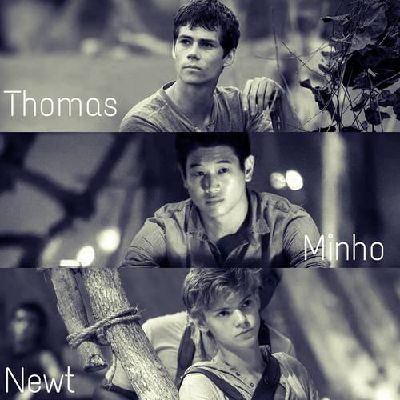 Maze Runner Boyfriend - Quiz | Quotev