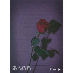 Questions To Answer While In Quarantine Part 2 - Survey | Quotev