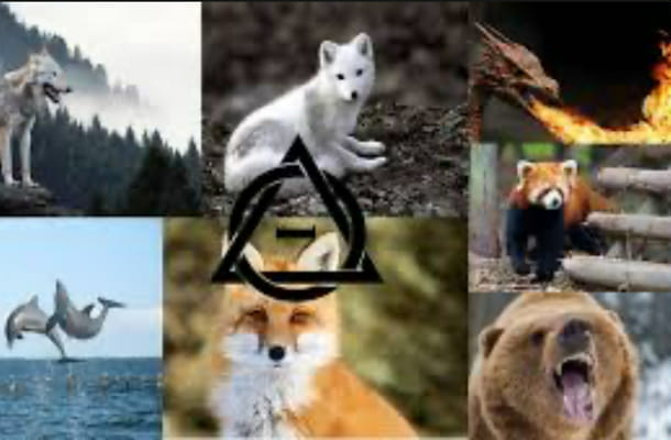 How to know what type of therian you are! - Quiz | Quotev